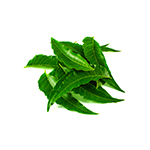 Neem & Wintergreen - Anti-Blemish Spot Treatment 20ml – Spa Ceylon Maldives